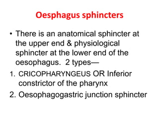 ANATOMY OF ESOPHAGUS-Dr.Neeraj Kumar Banoria | PPTX