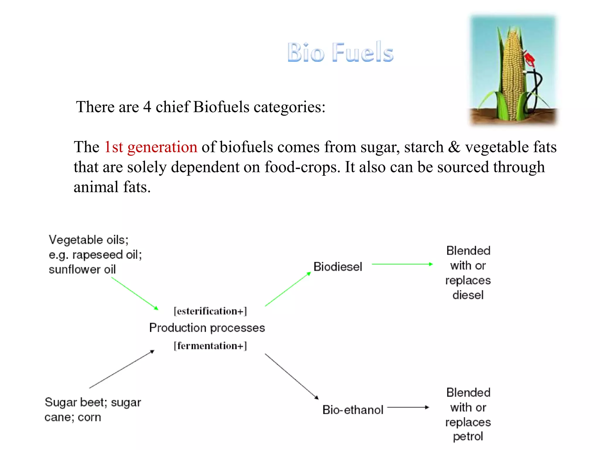 Biofuels Complete ppt | PPTX