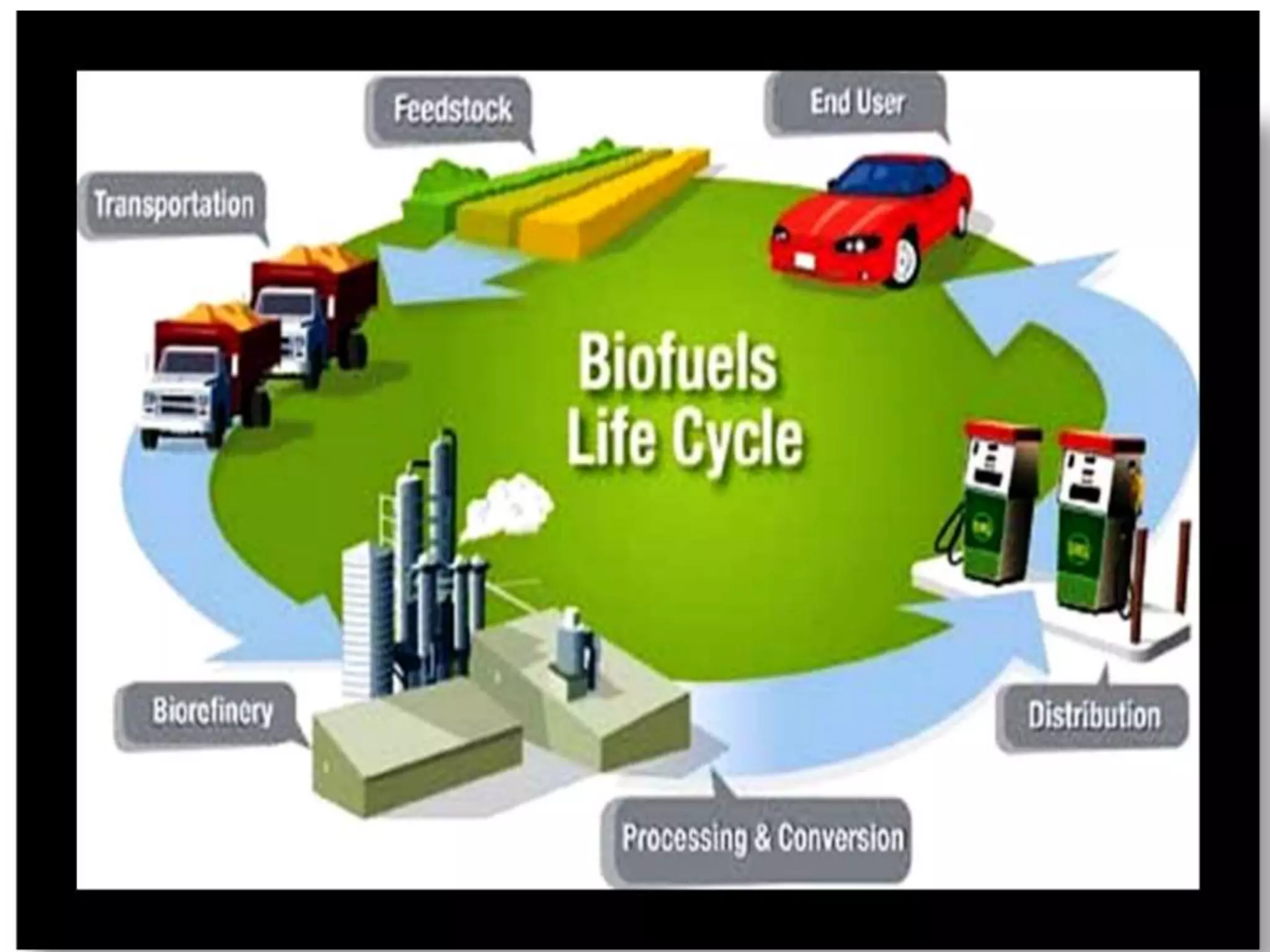 Biofuels Complete ppt | PPTX