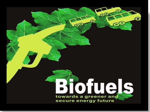 Biofuels Complete ppt | PPTX | Gasoline Prices | Economy