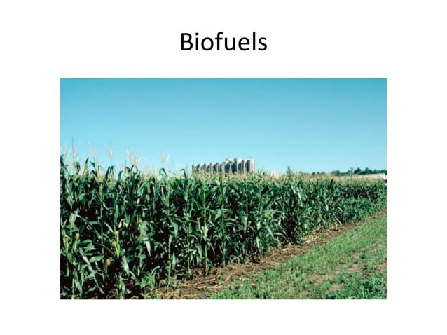 Biofuels Complete ppt | PPTX | Gasoline Prices | Economy