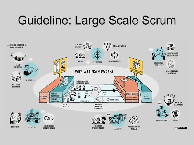 My Experience with Tribe-Squads | PPT