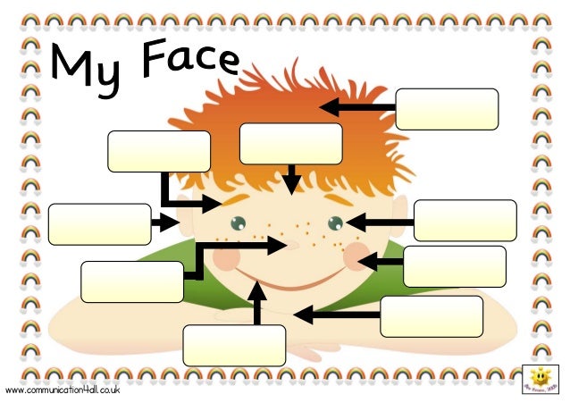 My face labelling activity boy