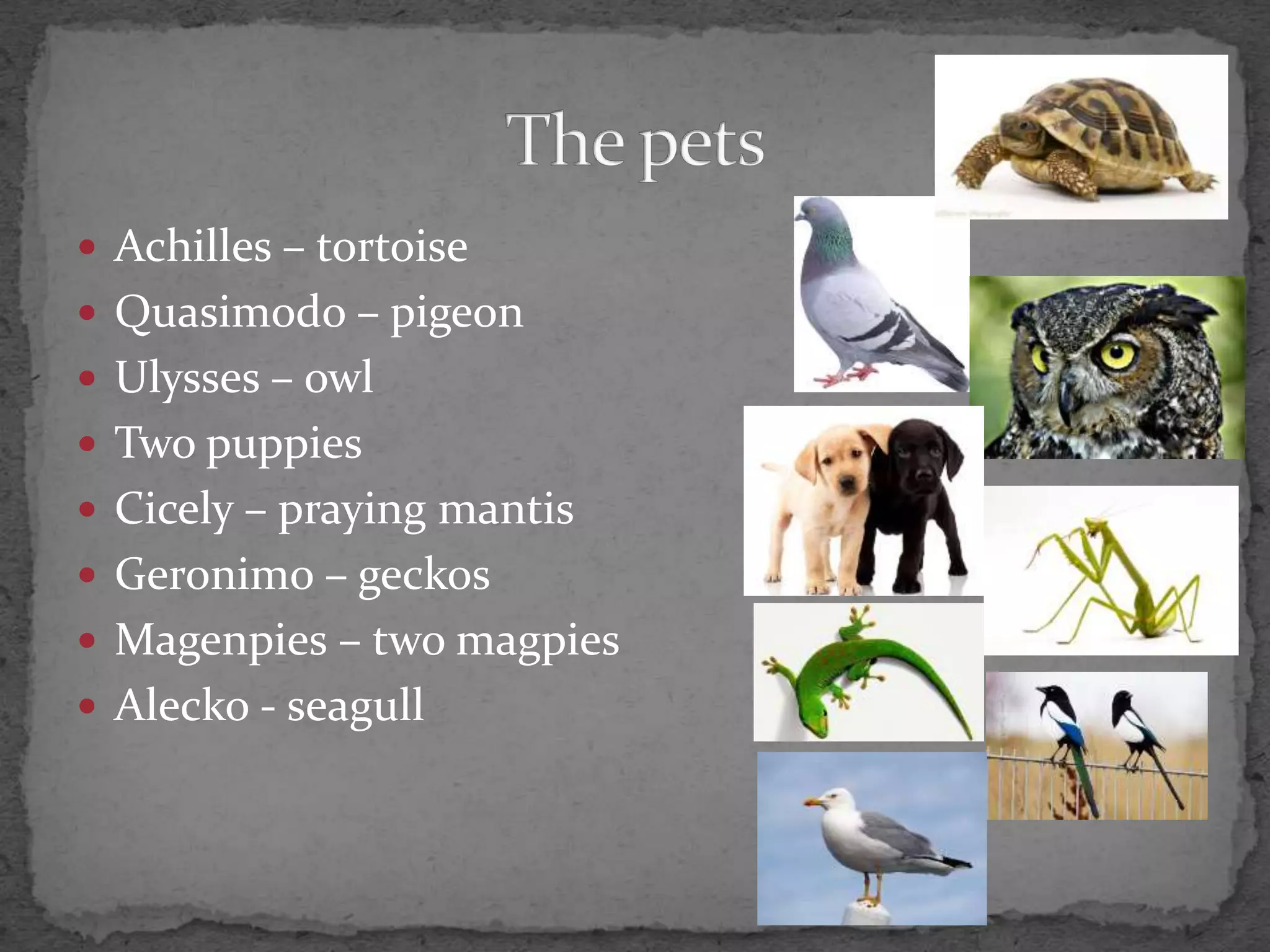 My family and other animals | PPTX