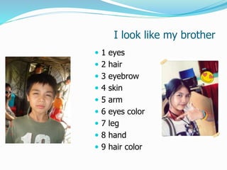 My family tree | PPTX