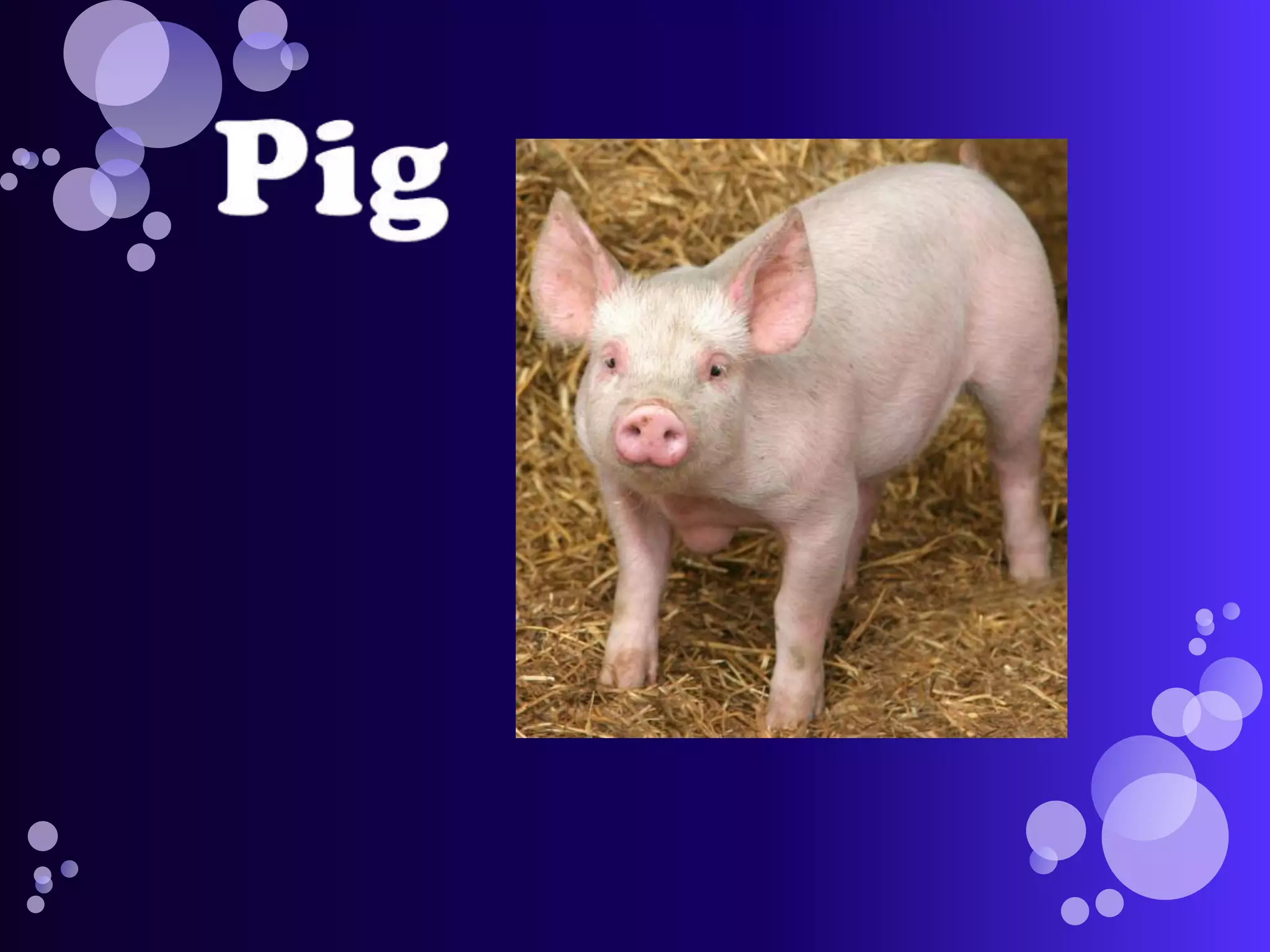 My farm pictionary | PPTX