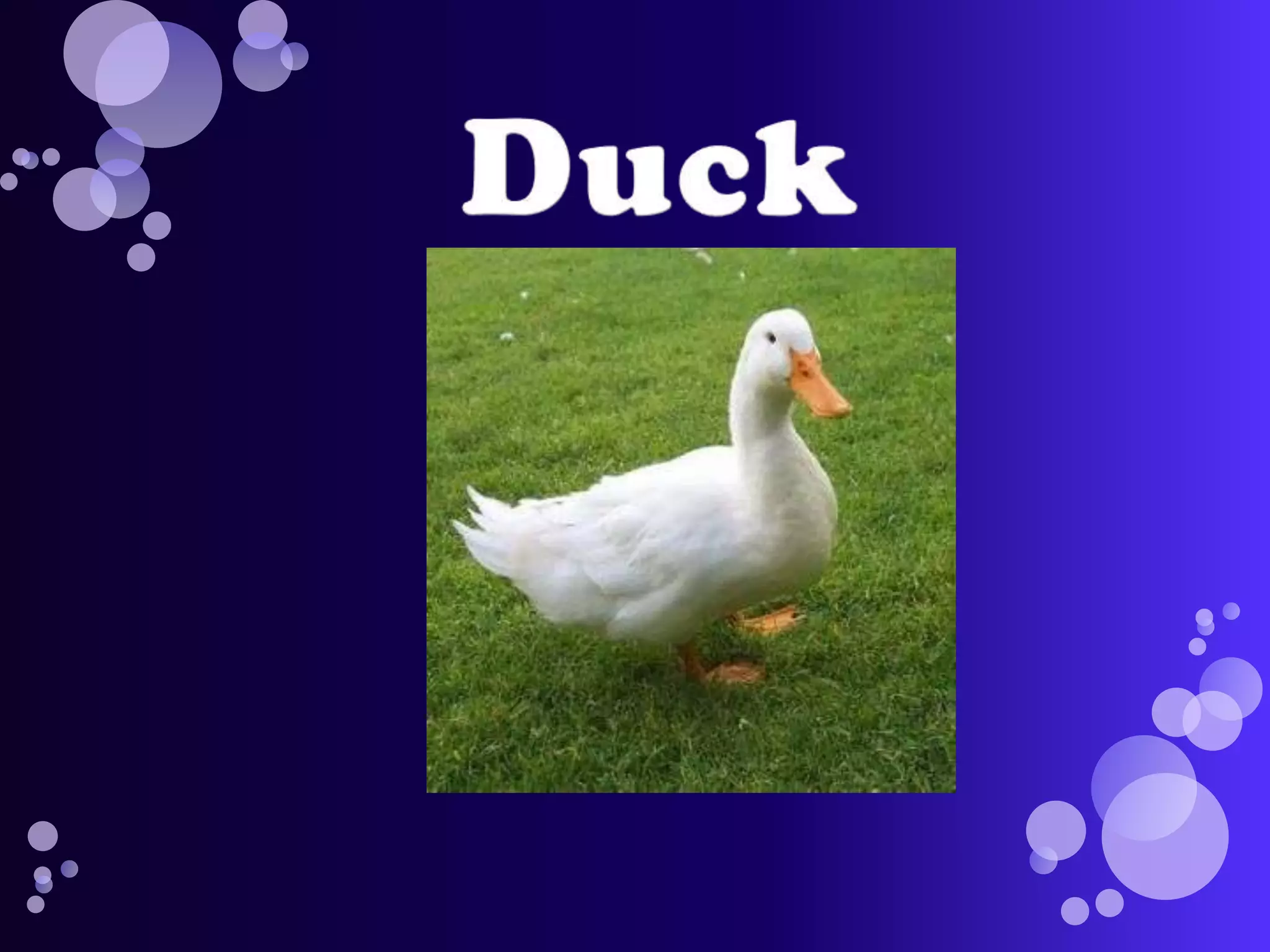 My farm pictionary | PPTX