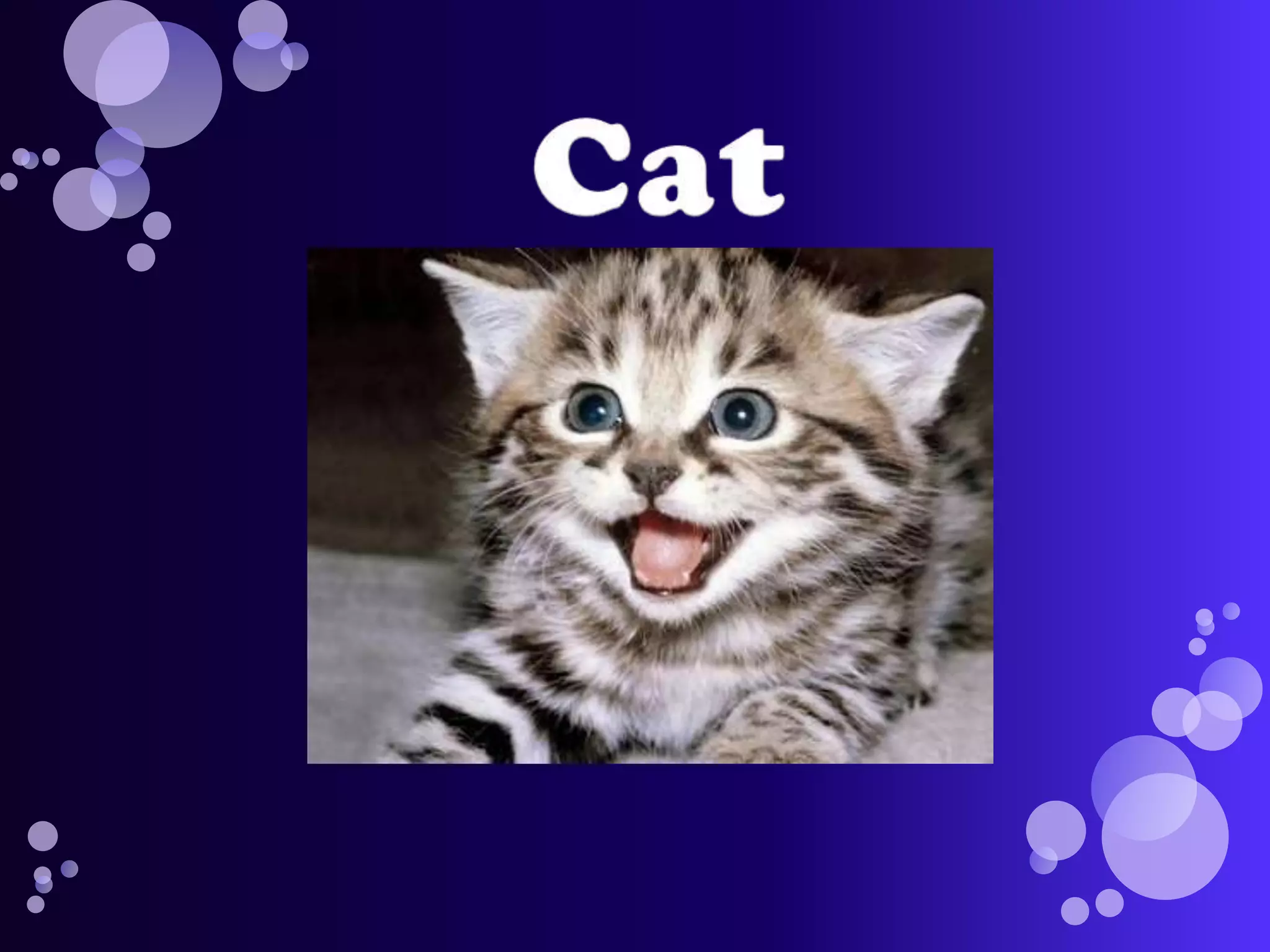 My farm pictionary | PPTX | Birds | Pets