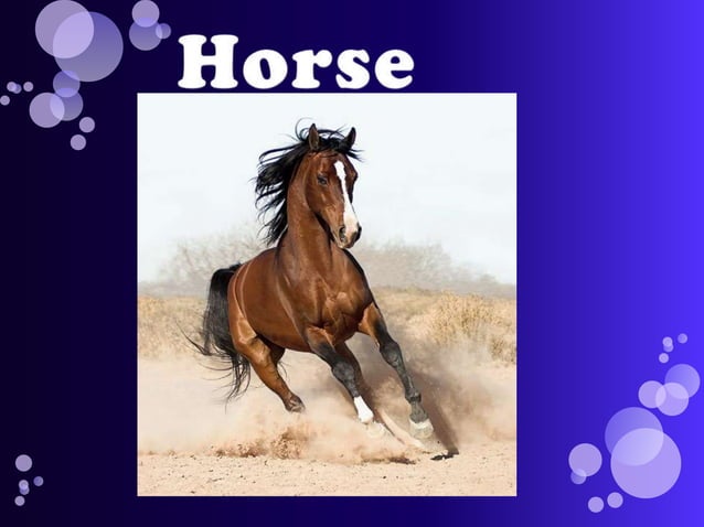 My farm pictionary | PPTX