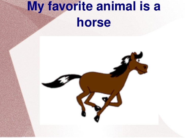 Favorite Animal Sign