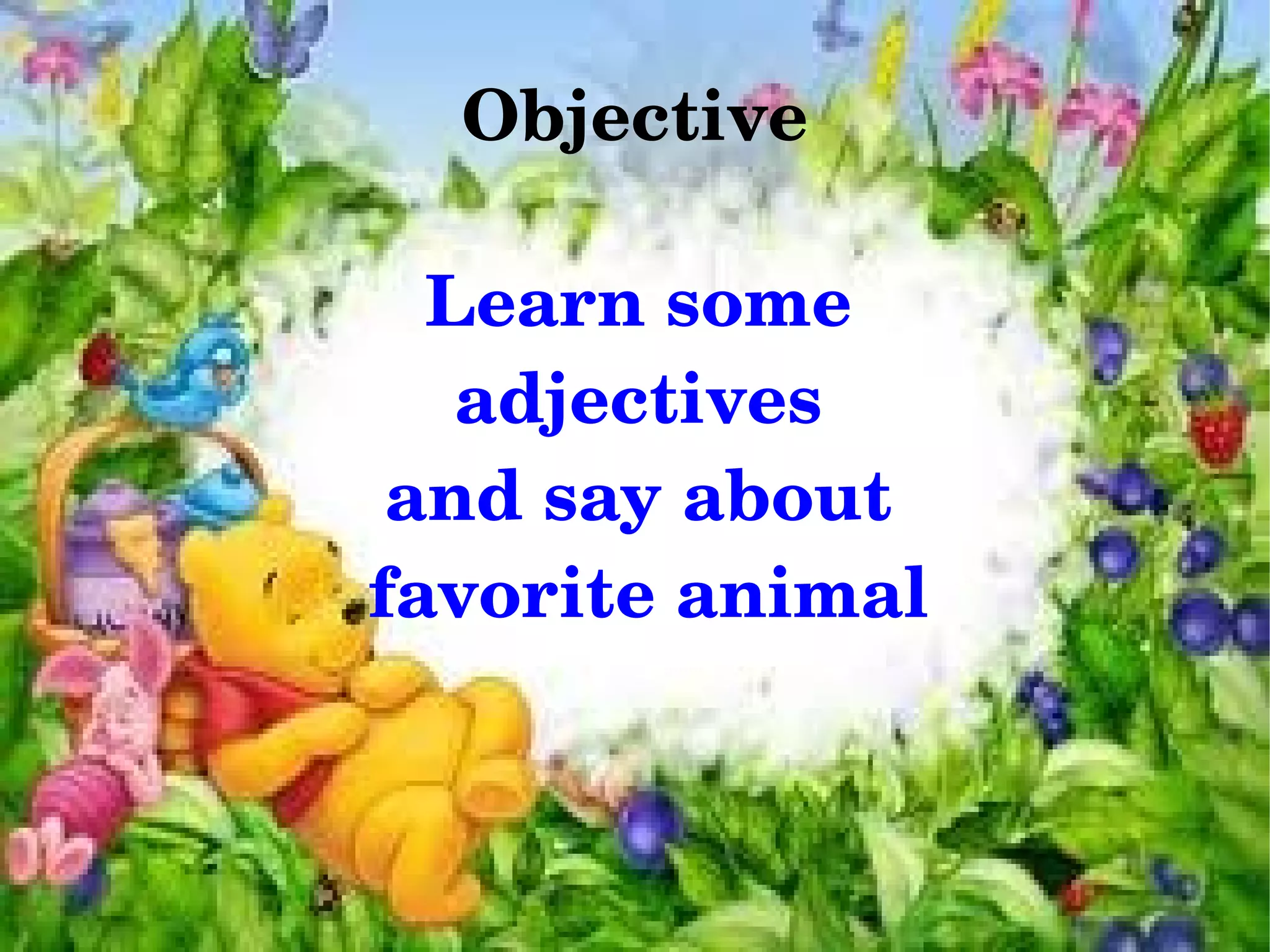 My favorite animal | PPT