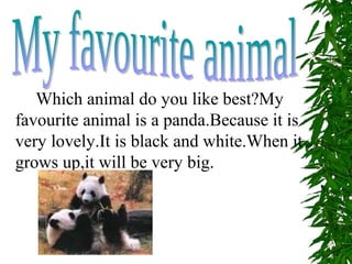 My favourite animal | PPT