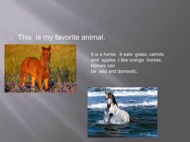 My favorite animal ксюша усатова | PPT
