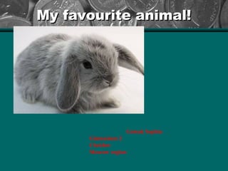 My favorite animal! | PPT