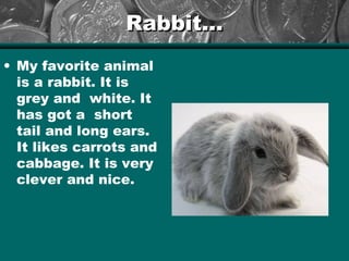 My favorite animal! | PPT
