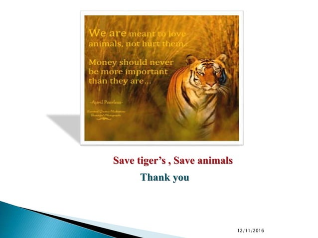 My favorite animal | PPT