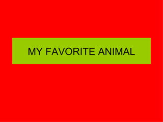 My favorite animal 3 | PPS