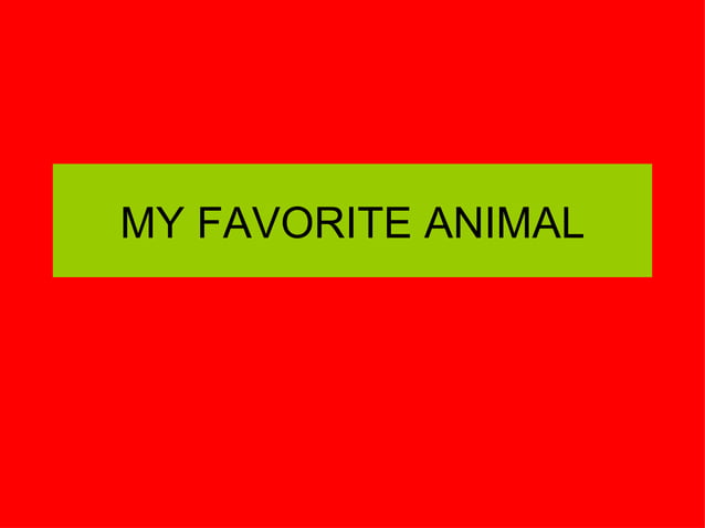 My favorite animal 3 | PPS
