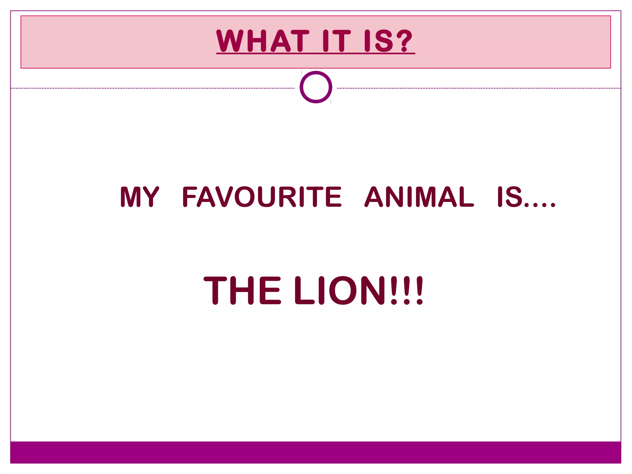 My favorite animal andrea | ODP | Dogs | Pets