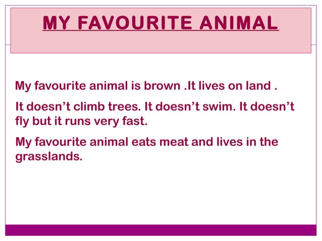 My favorite animal andrea | ODP