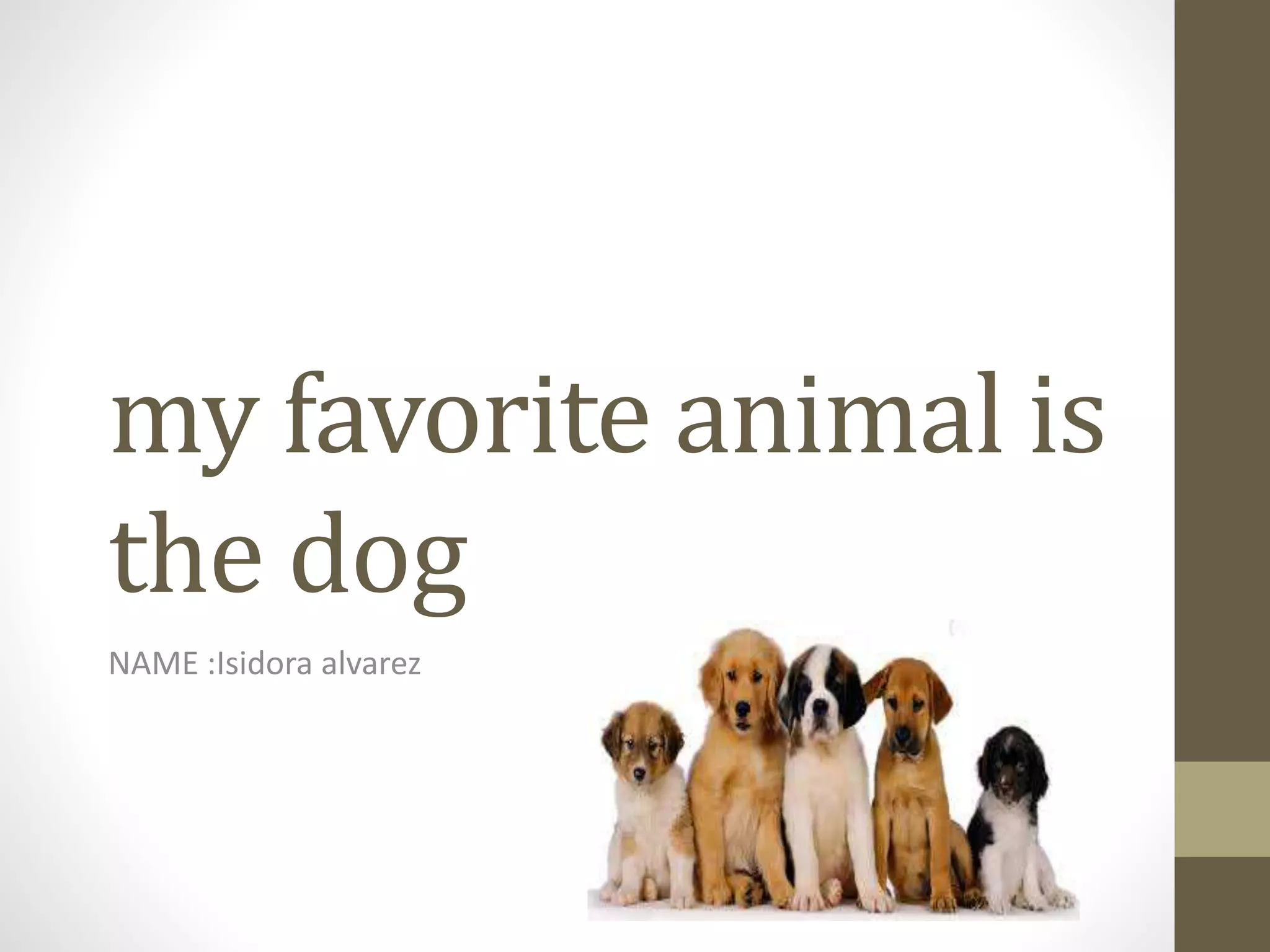 My favorite animal is the dog | PPTX