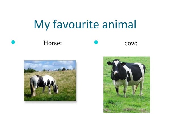 My favorite animal rocío | PPT