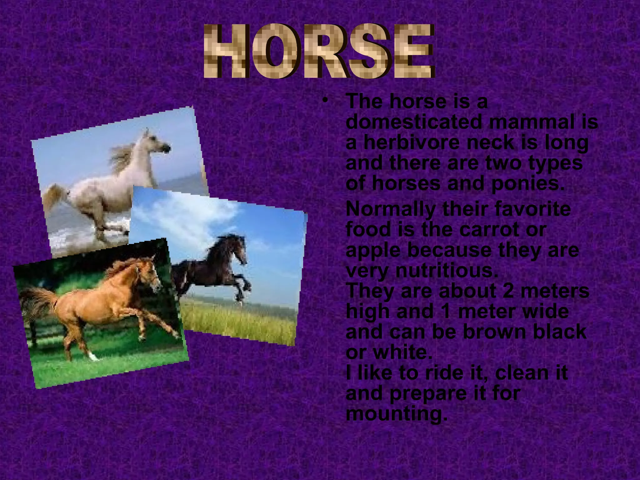 My favorite animals | PPT