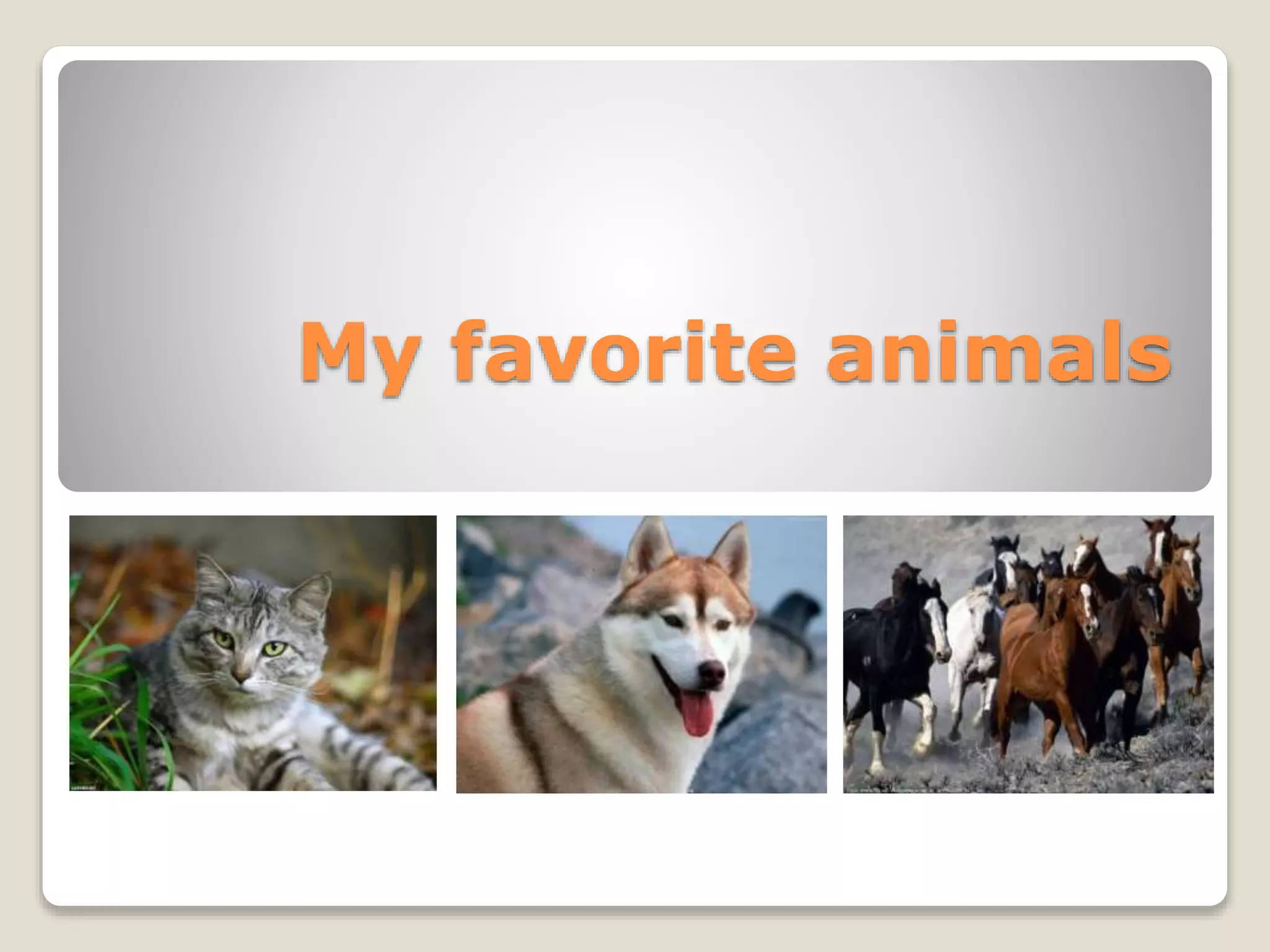 My favorite animals чуленева катя | PPTX