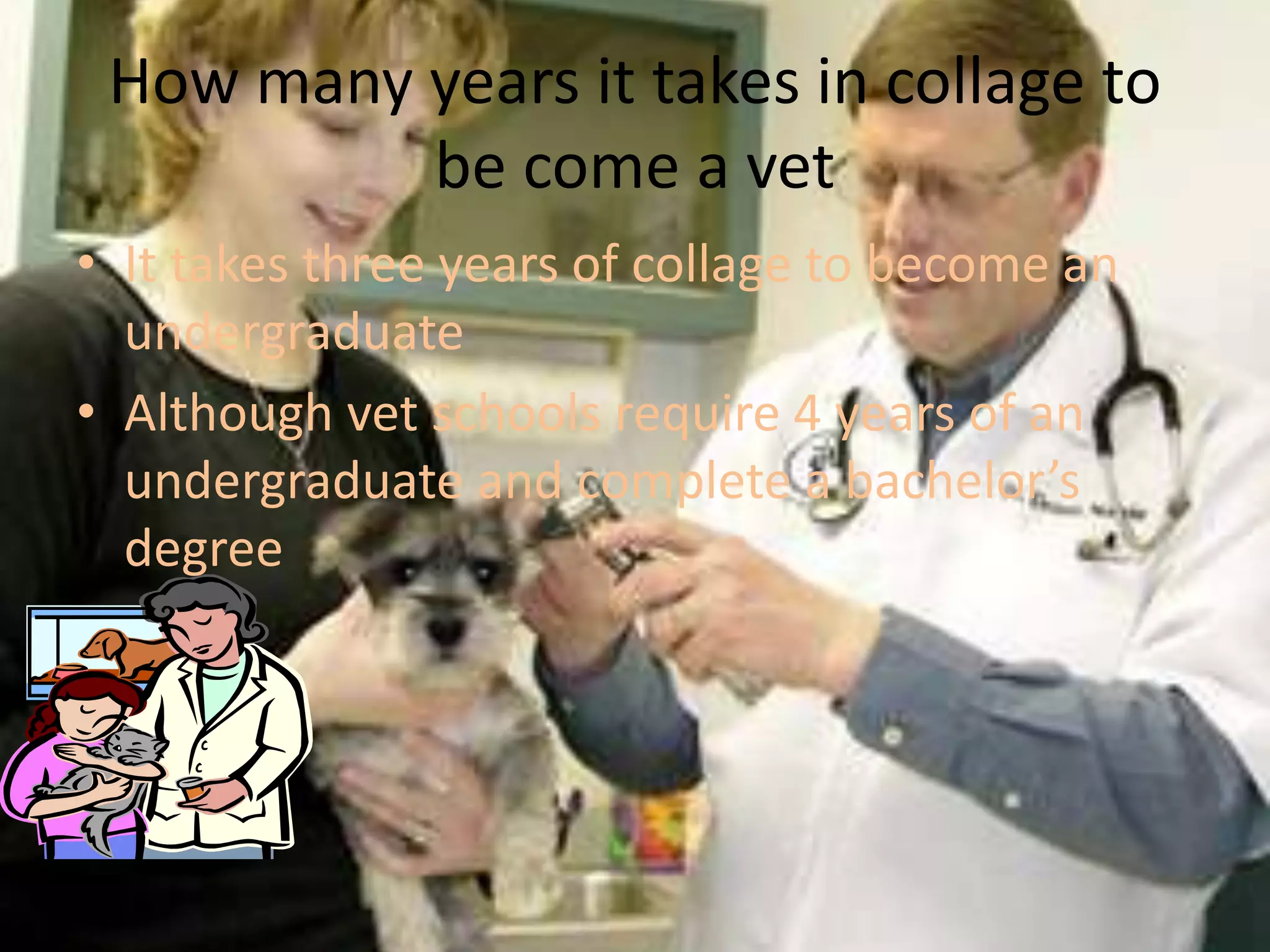 My favorite career_is_veterinarian[1] | PPTX