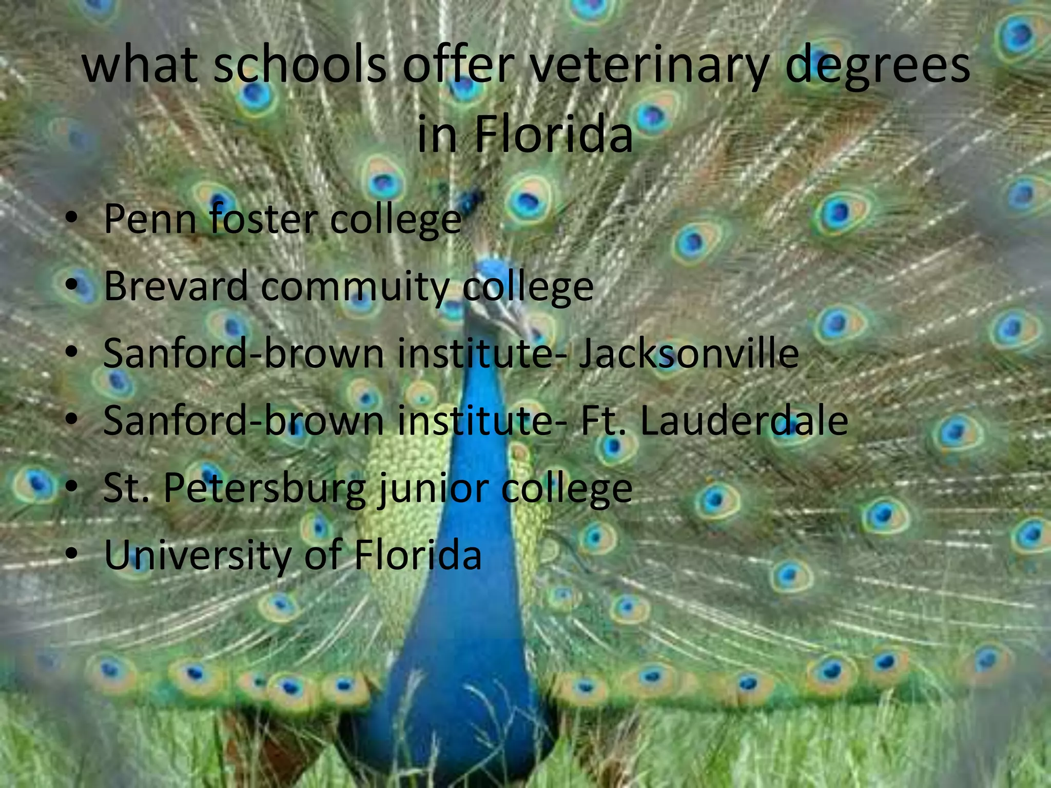 My favorite career_is_veterinarian[1] | PPTX