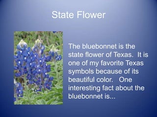 Miss Golman's Favorite Texas State Symbols | PPTX