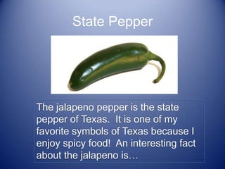 Miss Golman's Favorite Texas State Symbols | PPTX