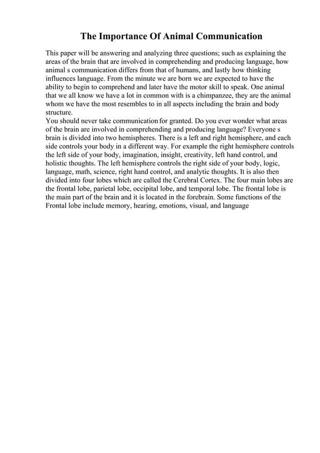 My Favorite Tv Show Essay.pdf