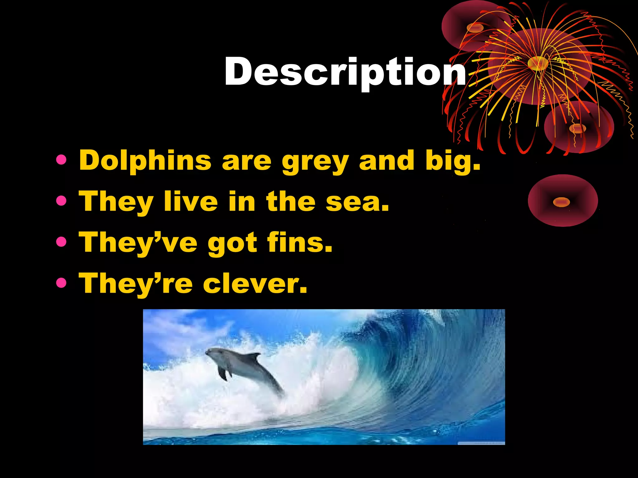 My favorite wild animal dolphins | PPT