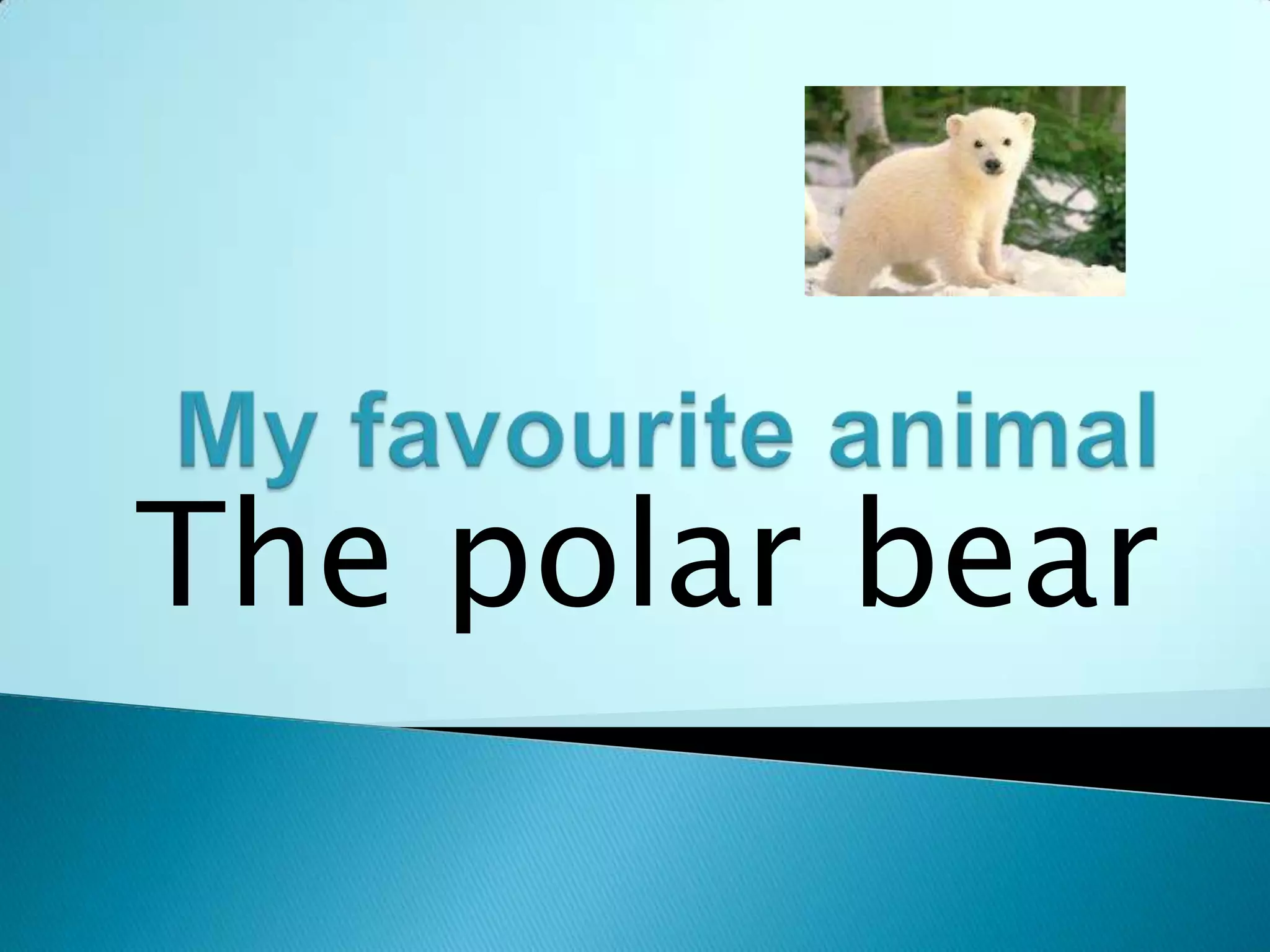 My favourite animal | PPTX