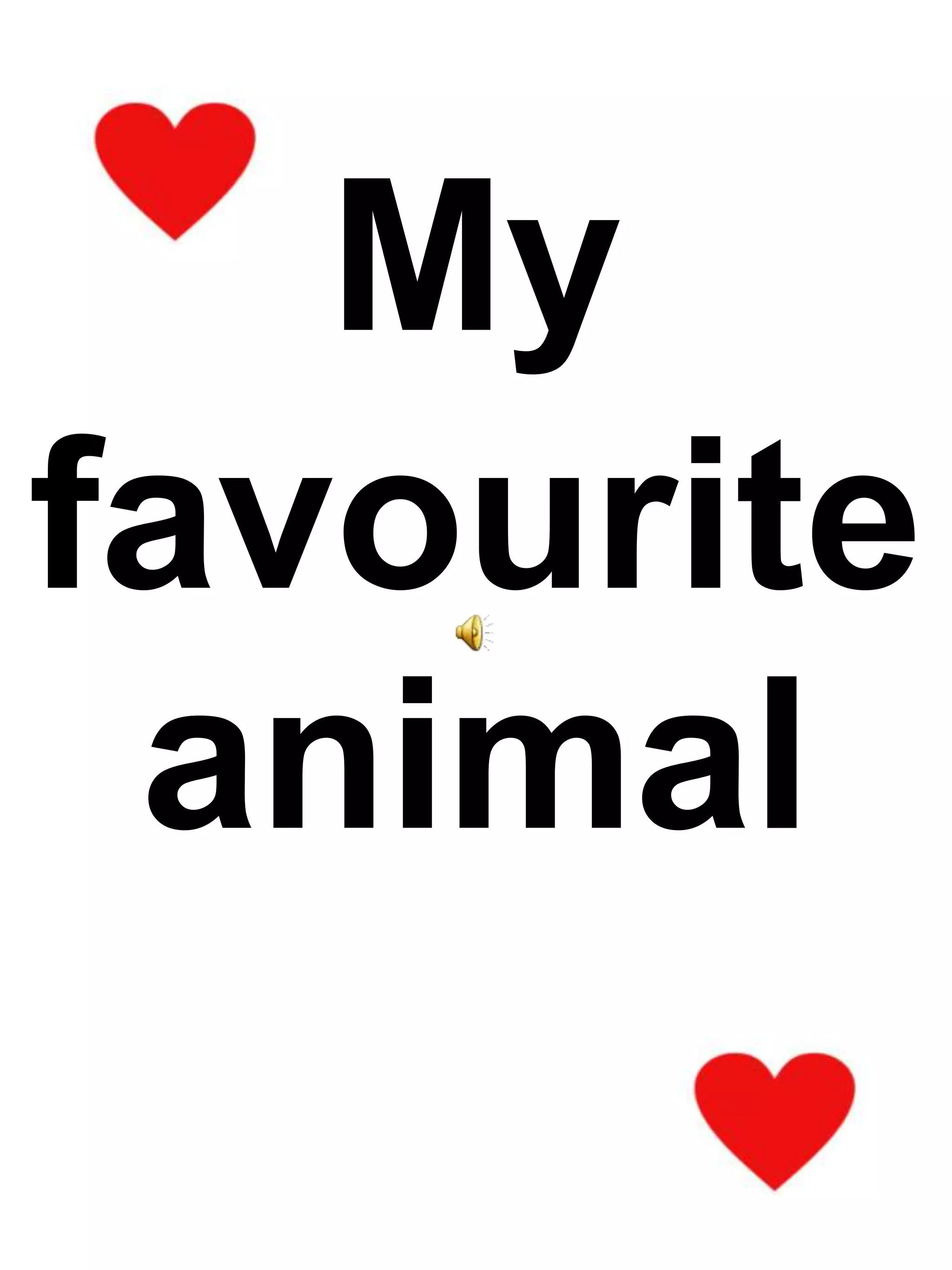 My favourite animal | PPTX