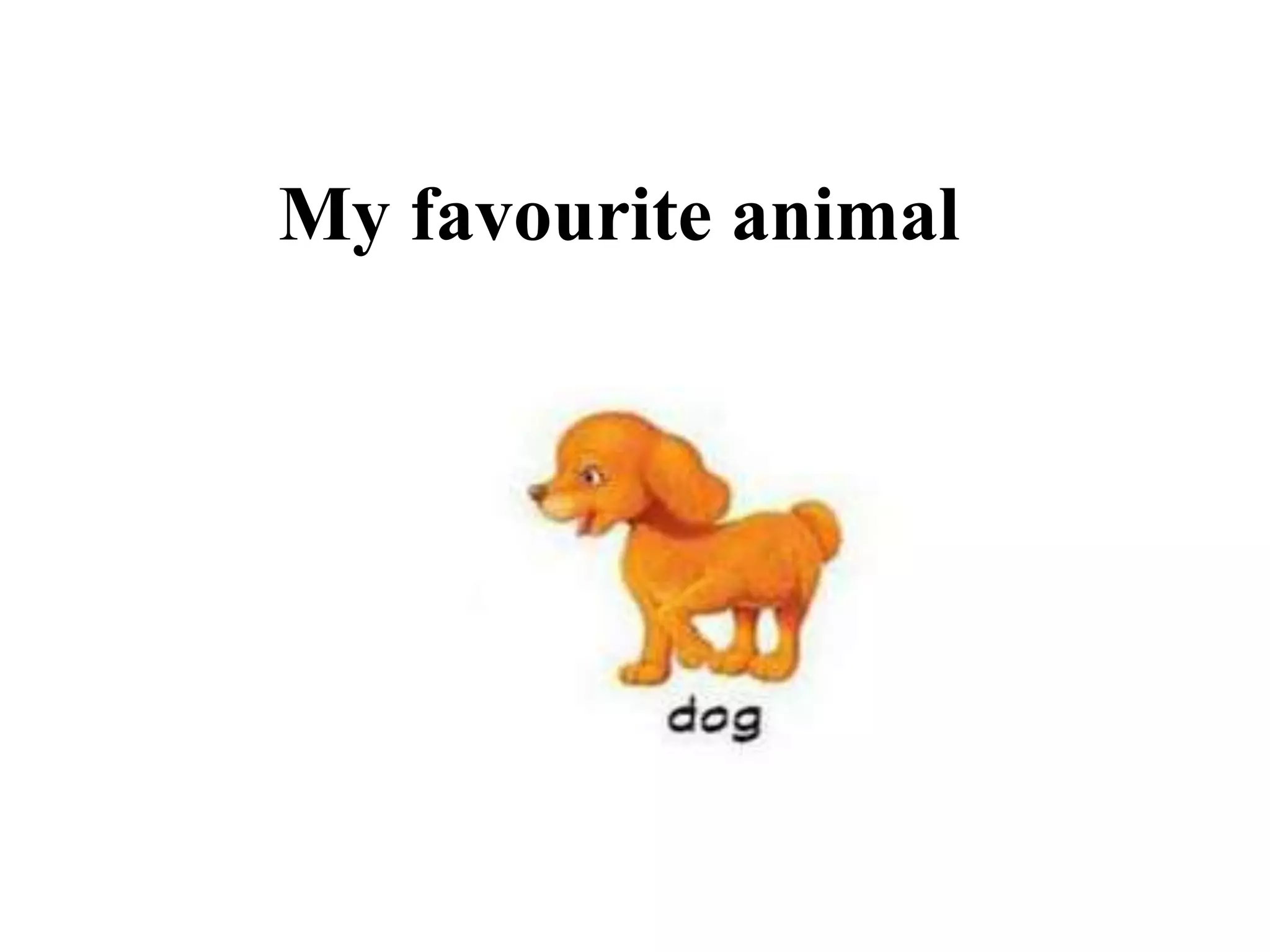 My favourite animal | PPTX
