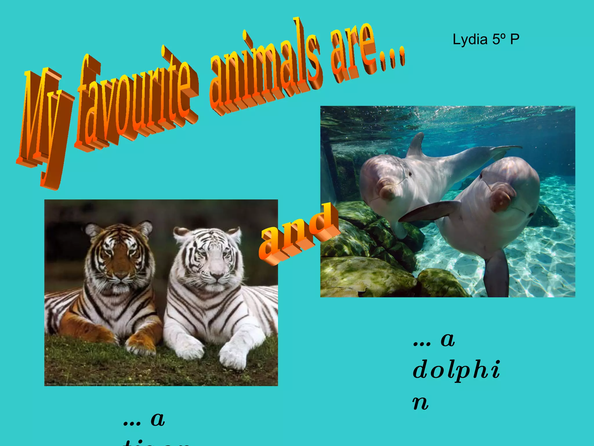 My Favourite Animal Lydia 5º | PPT