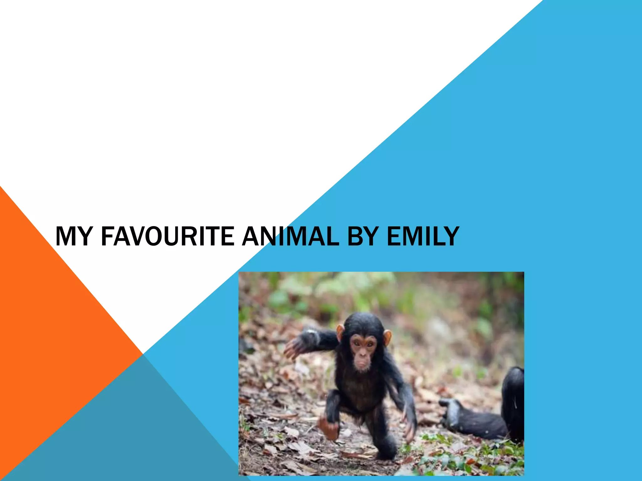 My favourite animal by emily | PPT