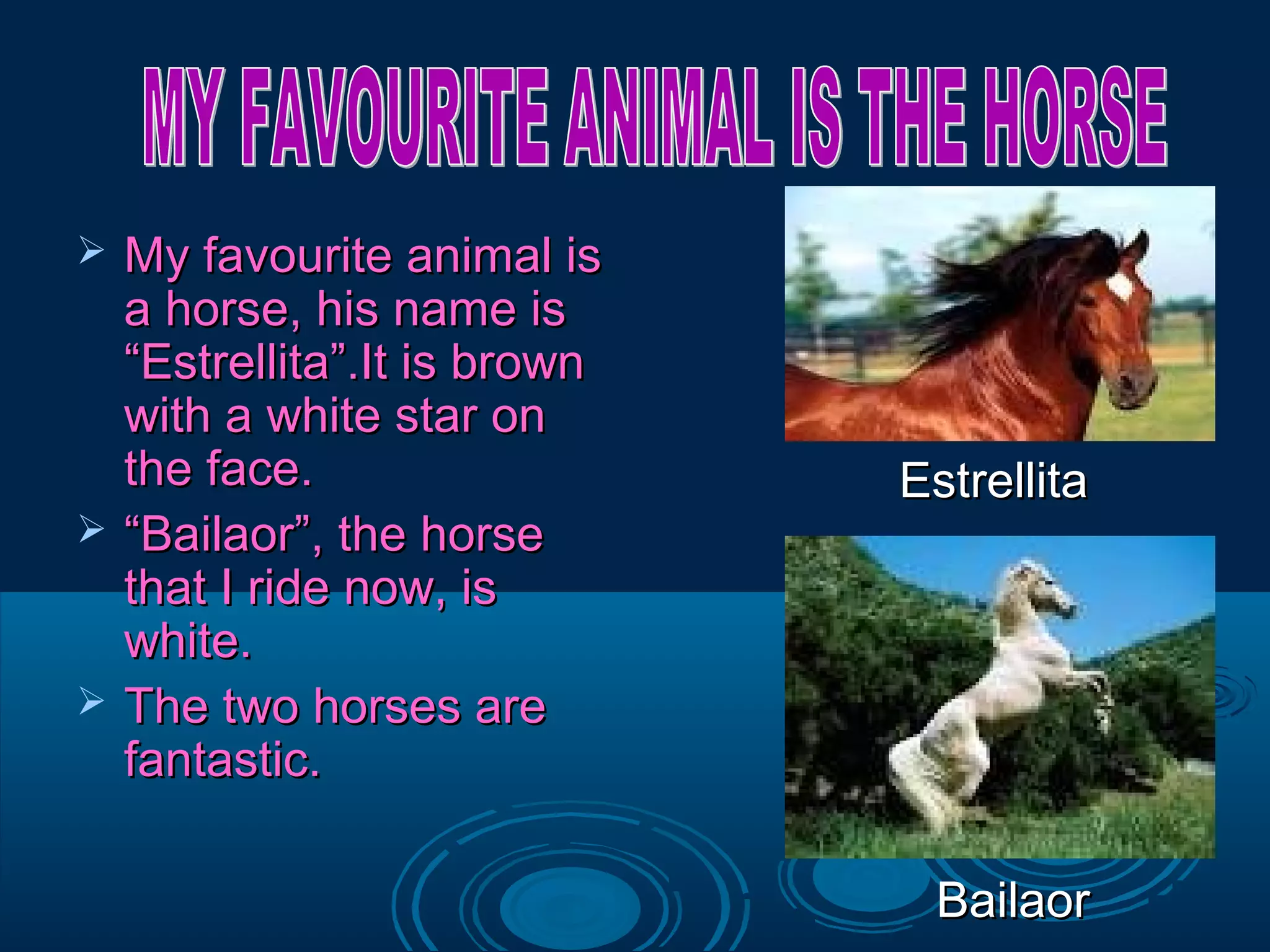 My favourite animal elora (2) | PPT