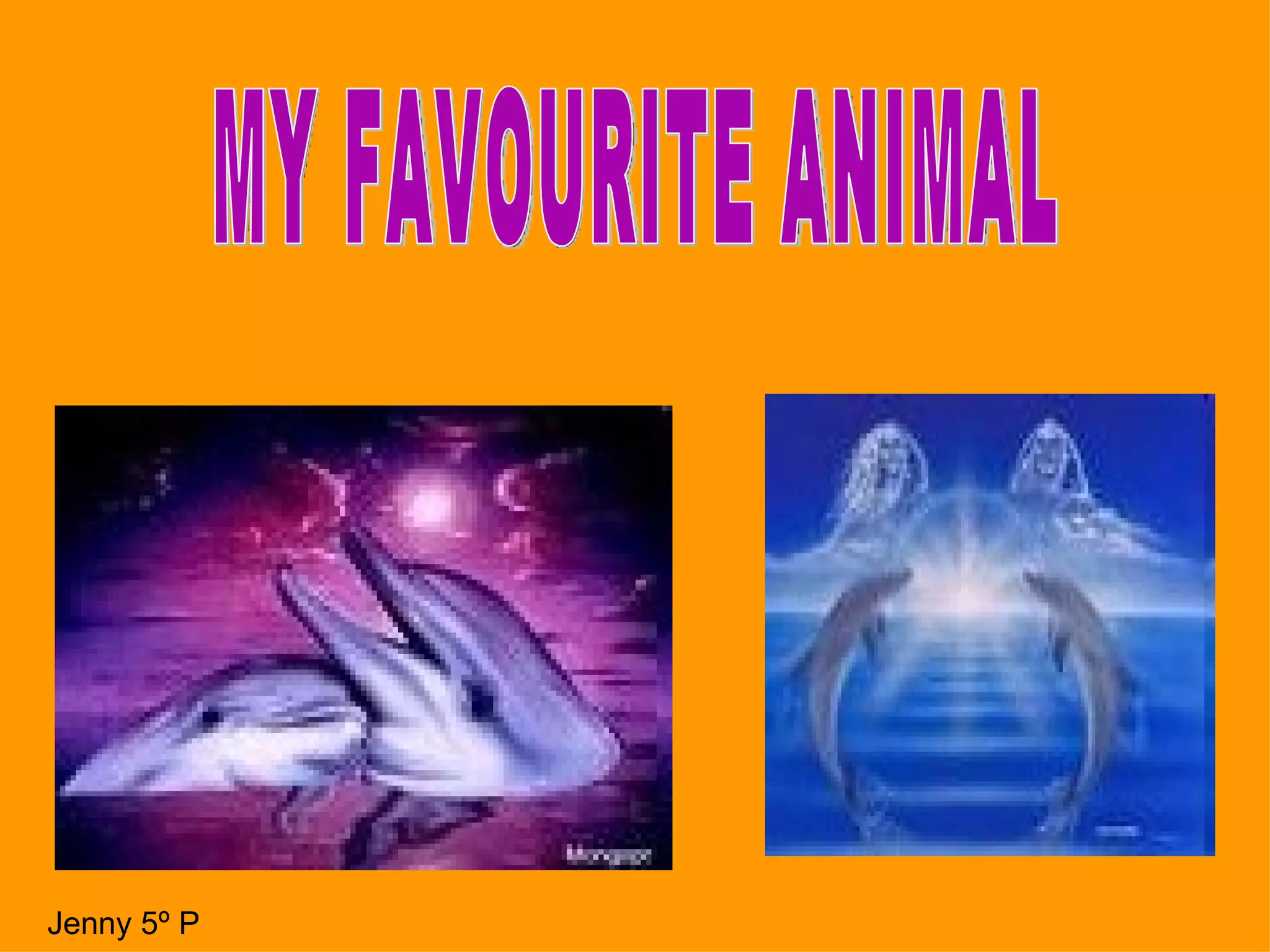 My Favourite Animal Jenny 5º | PPT