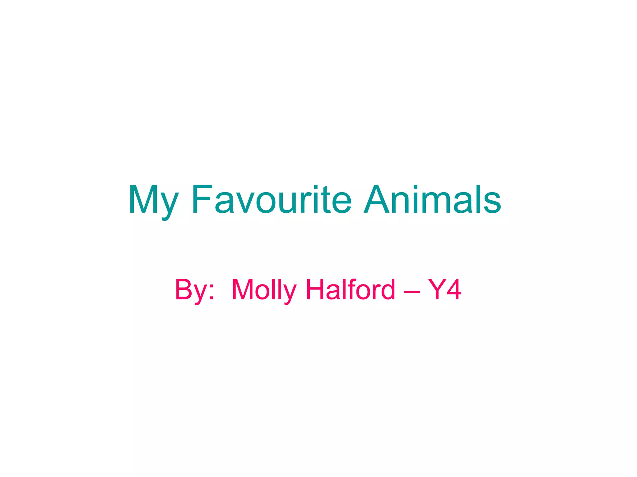 My favourite animals | PPT
