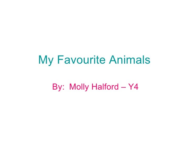 My favourite animals