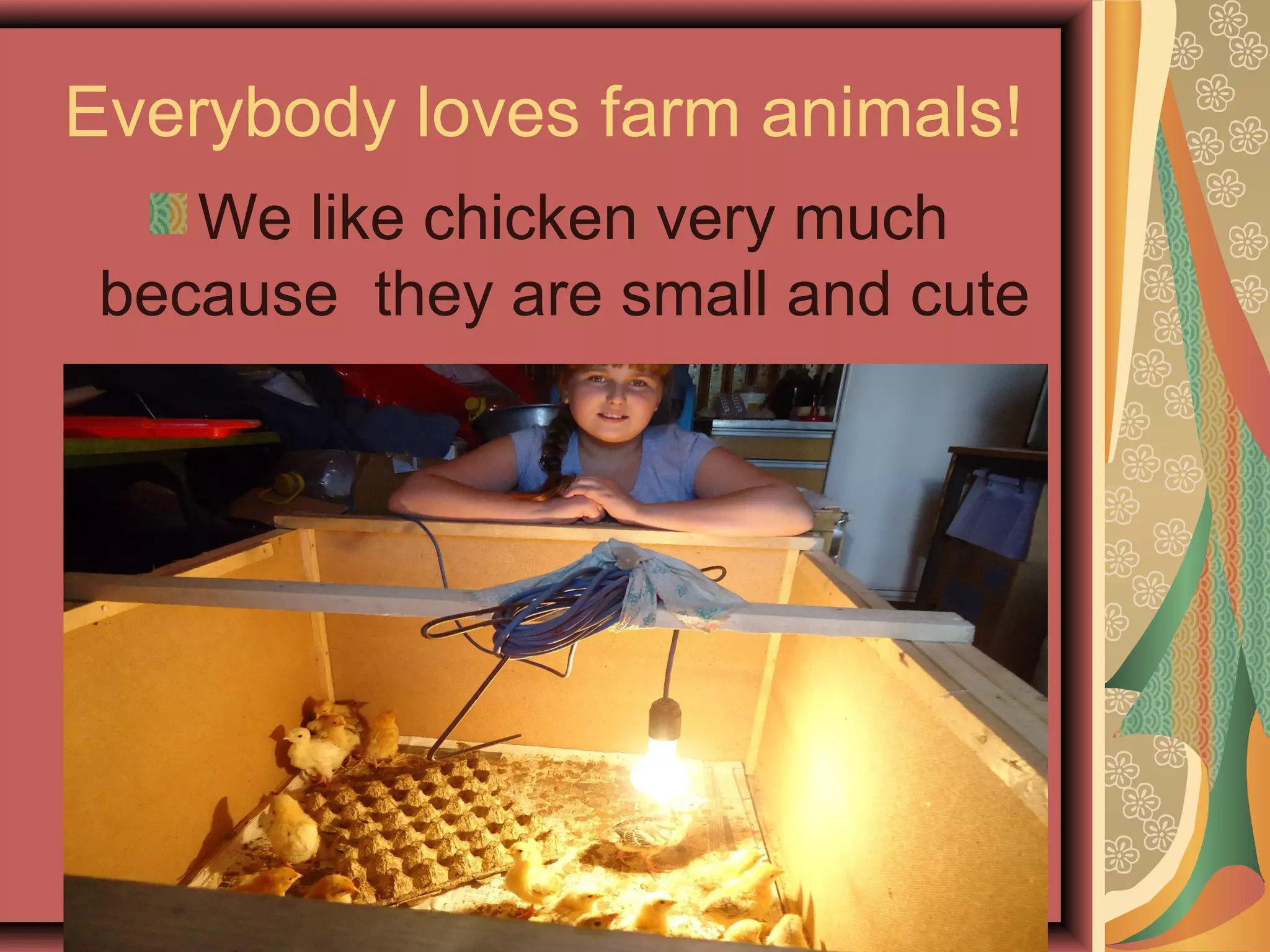 My favourite animals | PPT