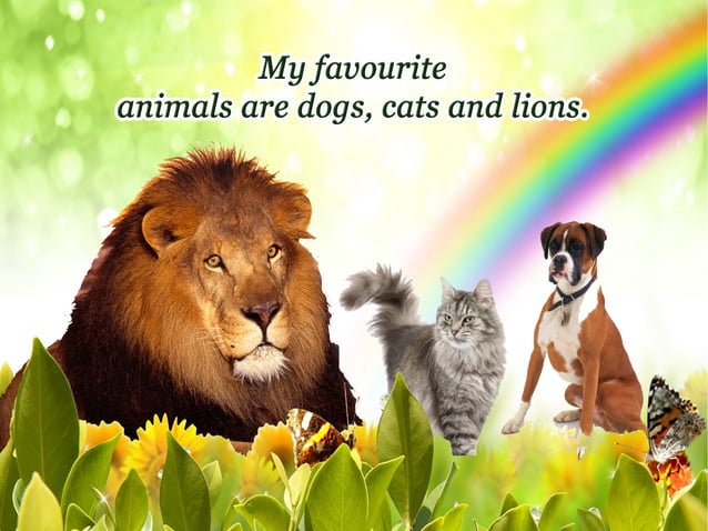 My favourite animals павел дубняков | PPT