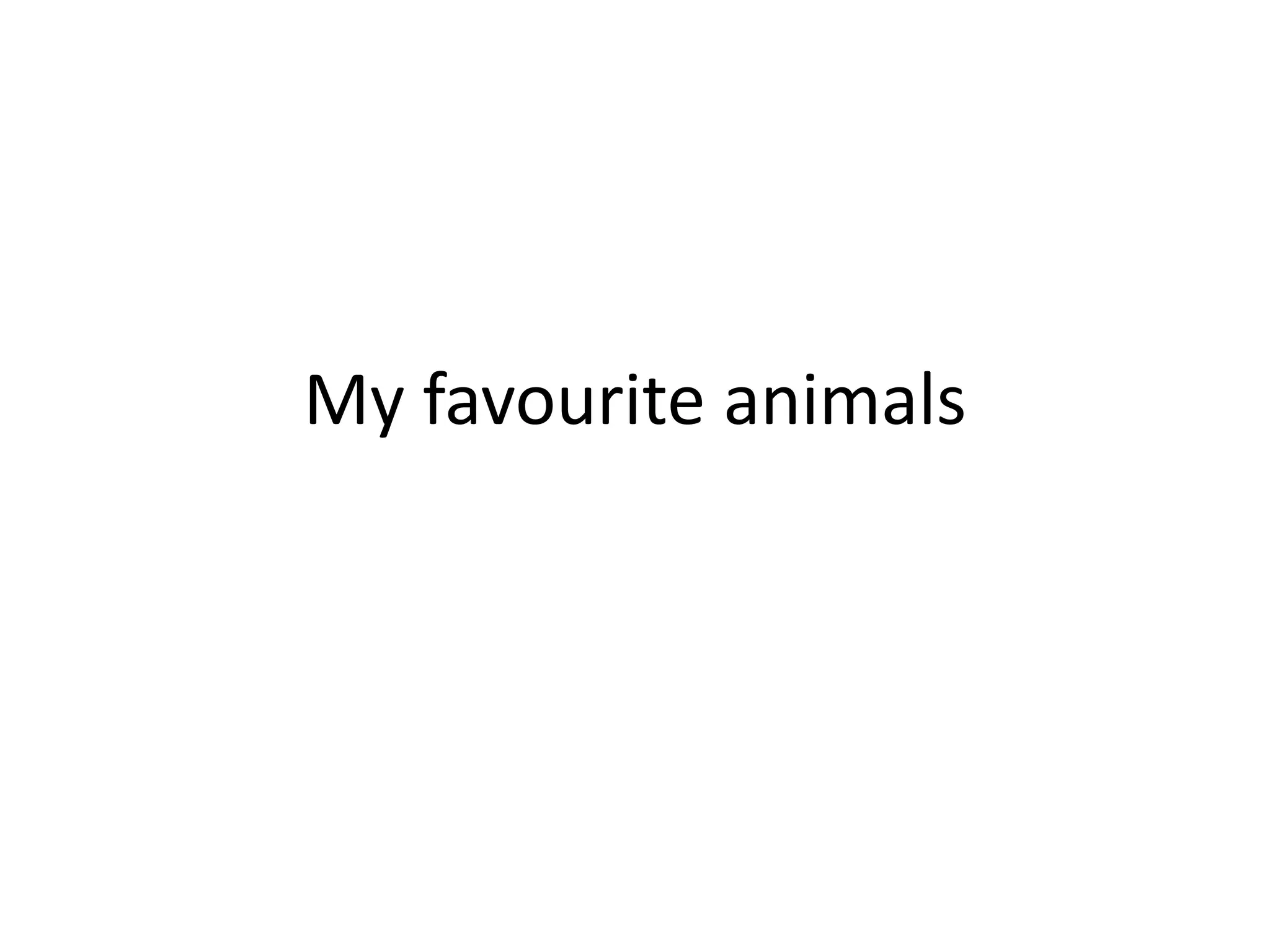 My favourite animals | PPT
