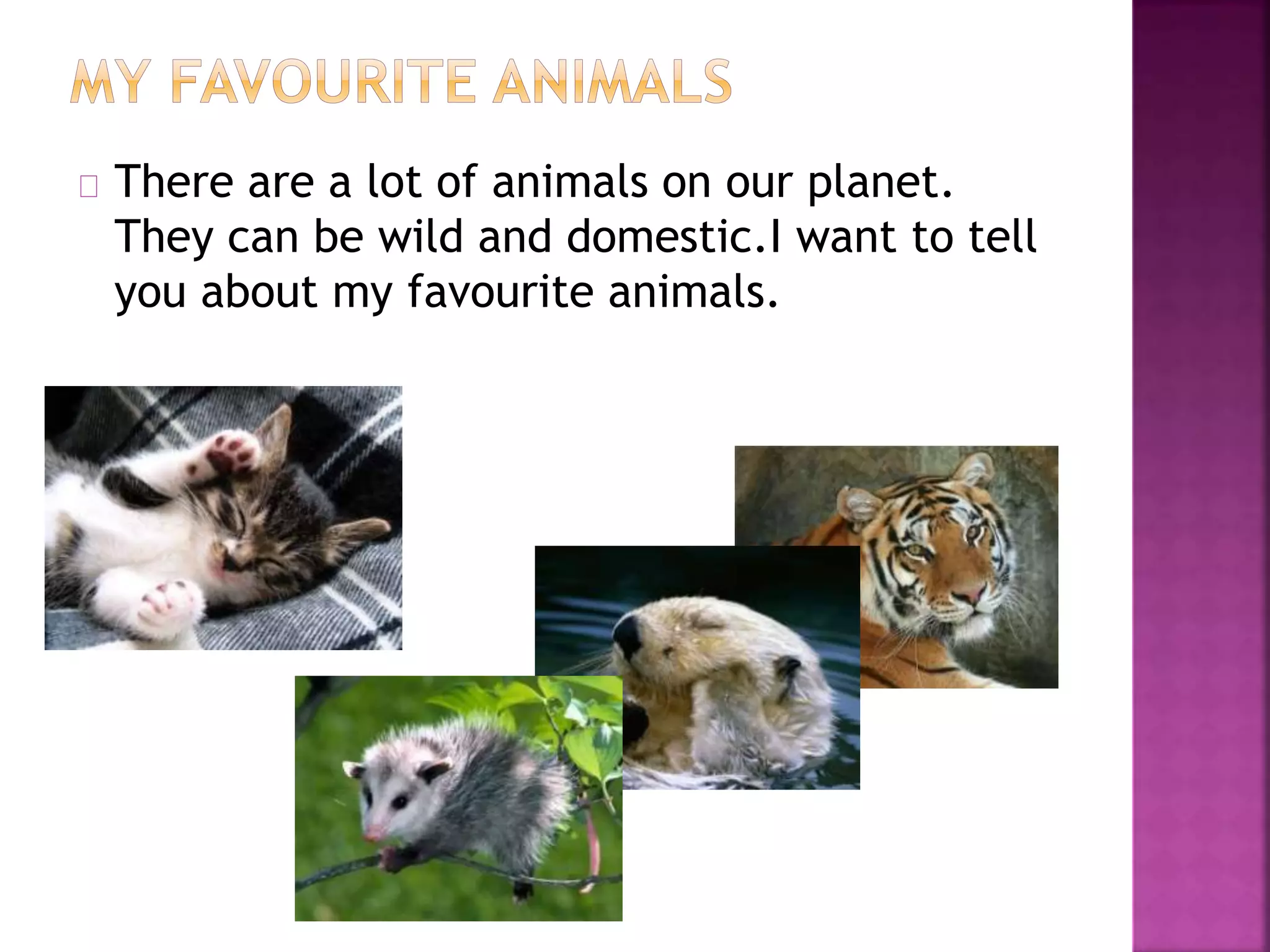 My favourite animals семен 4в | PPTX | Cats | Pets