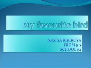 My favourite bird 97 | PPT