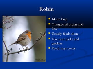 My favourite birds callum | PPT | Birds | Pets
