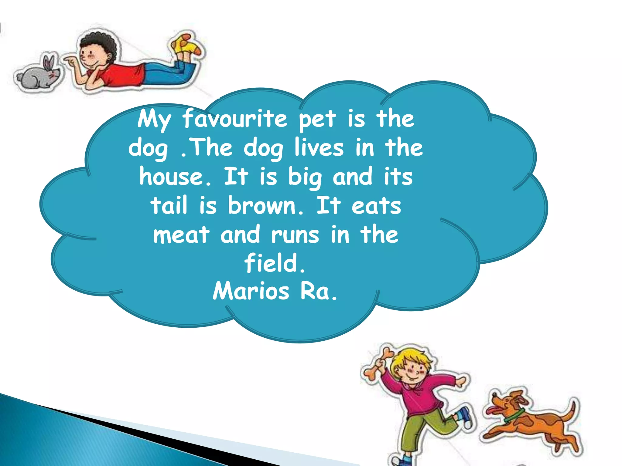 My favourite pet | PPTX